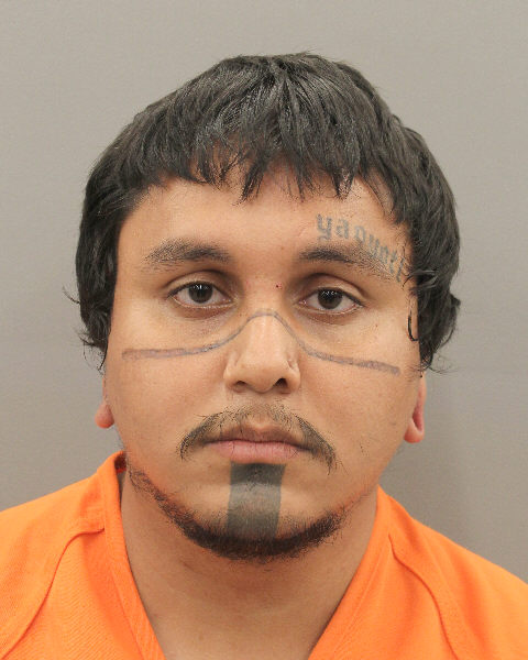 Suspect Arrested, Charged in Assault at 3219 Grosbeak Drive – City of ...